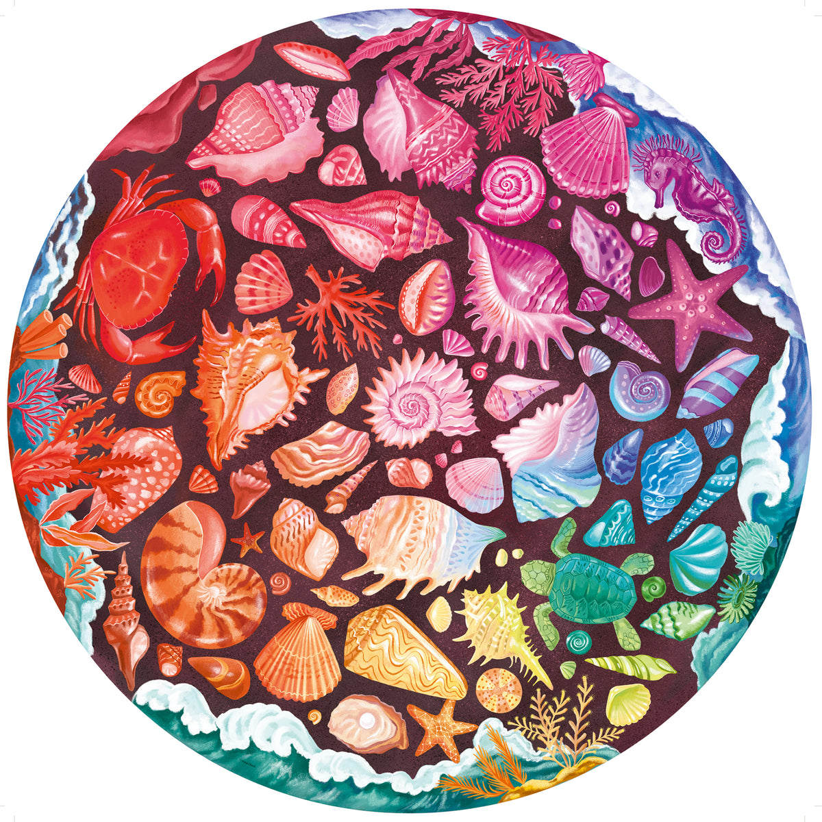 Sea Shells - Circle Of Colours | Ravensburger | 500 Pieces | Circular ...